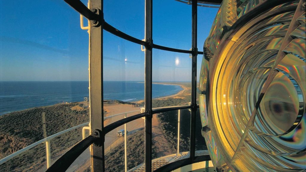 The top 5 things to do in Exmouth | Live Ningaloo